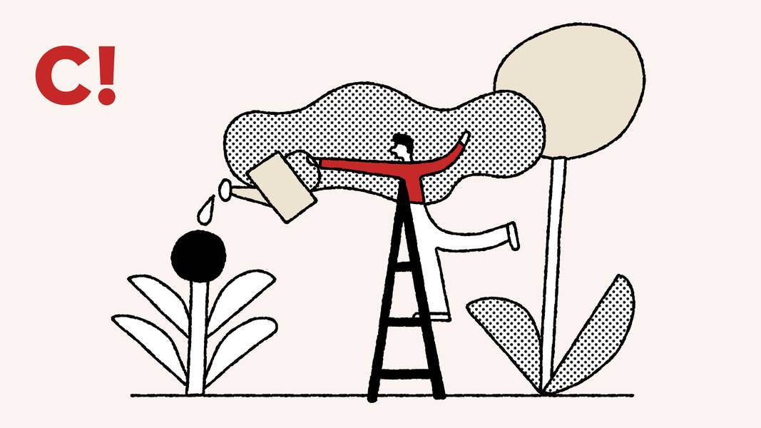 Conversionista joins Fabrique and Q42, and expands to The Netherlands ...